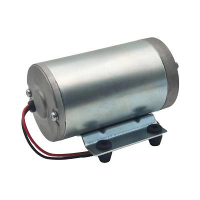 China 36V DC Brushless Electric Motor To Pump Water Waterproof 50-100W for sale