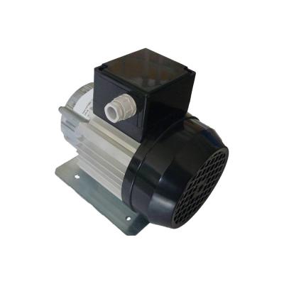 China Blade Booster Pump Motor 245W 230V Motor Commercial Coffee Machine for sale