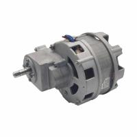 China KG-1209250 110-240V 10-60RPM High Power 200-500W Electric Induction Motor For Blender Motor for sale