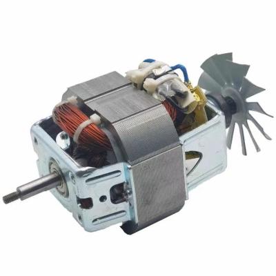 China Universal AC Electric Motors 12-36v 60-120W Blender Motor Power for sale