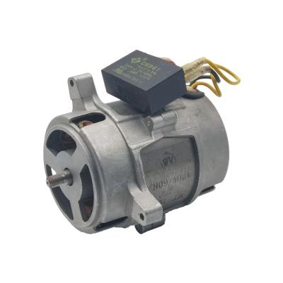 China 230W AC Induction Motor 2850rpm 110/230V 2 Pole Electric Juicer Motor for sale