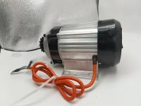 China 350W 36V Brushless DC Motor 2400RPM Trike Bike Electric Motor Main Application for sale