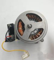 China 2850RPM 110/230V Juicer Mixer Motor 230W 2 Pole Synchronous Motor Electric for sale