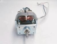 China Electric Universal Motor Dc Voltage 12-36v 60-120W Ac Blender Motor for sale