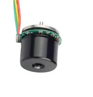 China Smart Home Motor 12000RPM 2400G.CM DC24V Brushless Motor For  Fascia Gun for sale