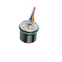 China Smart Home Motor 200-2400G.CM 4100-12000RPM Brushless Motor For Fascia Gun for sale