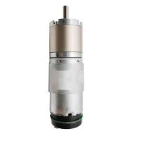 China Electric Tools Motor 24V 0.6A 9-35W 3000RPM Lawn Mower Motor Go-Gold for sale