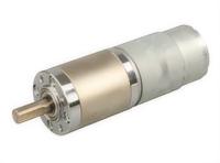 China Electric Tools Motor 24V 3000RPM 0.6A 9-35W for Electric Garden Tools for sale