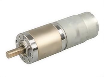 China Electric Tools Motor 24V 3000RPM 0.6A 9-35W for Electric Garden Tools for sale