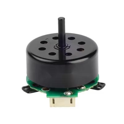 China Hair Dryer Motor 230V 0.9A 18500RPM 106W 350G.CM High Speed BLDC Motor for sale
