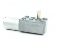 China Medical Equipment Motor 12V 0.2A 50RPM 0.75Kg.cm for Beauty Equipment for sale