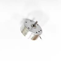 China Hair Dryer Motor 0-35mA 0-24V DC Brush Motor For Hair Dryer Go-Gold for sale