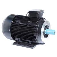 China AC Motor 50/60HZ 1500RPM 380V 7.5KW Go-Gold For Coffee Machine for sale