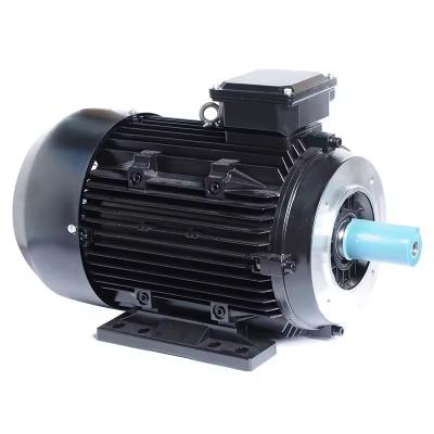 China AC Motor 50/60HZ 1500RPM 380V 7.5KW Go-Gold For Coffee Machine for sale