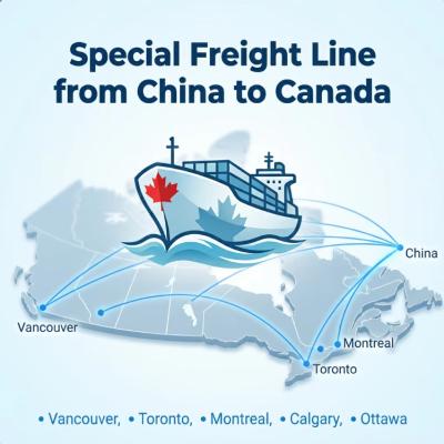 China To Toronto FCL Sea Freight 31 - 35 Days 20GP 40GP 40HQ FCL Ocean Freight for sale