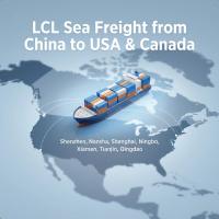 China High Speed LCL DDP Service China To Canada Vancouver LCL Sea Freight Customs Clearance for sale