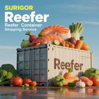 China 20RF 40RH Special Container Reefer Container Shipping From China To EU US Canada for sale