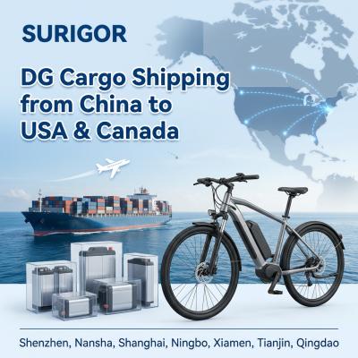China Door - To - Door Hazmat Freight Shipping Safe With Licensed And Experienced Team for sale