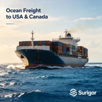 China Customs Clearance FCL Ocean Freight With Exclusive Private Container for sale