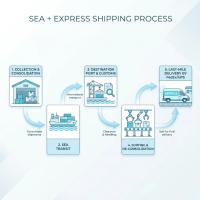 China Customs Clearance Express LCL Services From China To USA LCL sea freight for sale