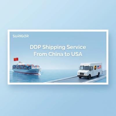 China Customs Clearance Express LCL Services From China To USA LCL sea freight for sale