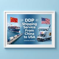 China Customs Clearance Express LCL Services From China To USA LCL sea freight for sale