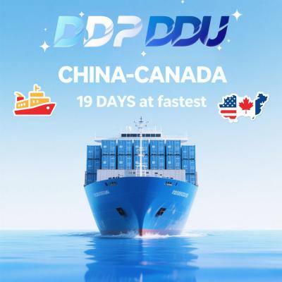 China Matson 19 Days LCL DDP Service Door To Door UPS FedEx Final Delivery LCL Shipping Service for sale