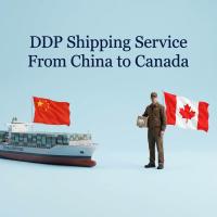 China High Speed LCL DDP Service China To Canada Vancouver LCL Sea Freight Customs Clearance for sale