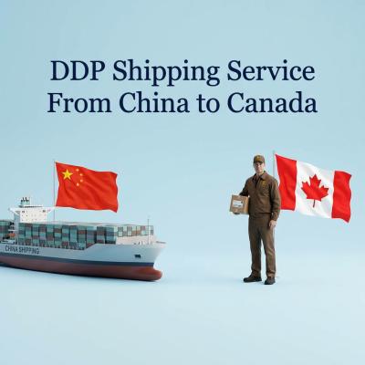 China Customs Clearance Ocean LCL Shipping 35 - 40 Days Door To Door Delivery for sale