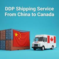 China Express DDP LCL DDP Service From China To Canada DDP Shipping Service for sale