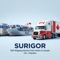 China Matson 19 Days LCL DDP Service Door To Door UPS FedEx Final Delivery LCL Shipping Service for sale