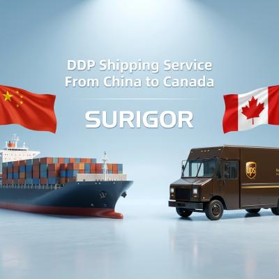 China China To Canada LCL DDP Service Door To Door Delivery LCL Shipping Service for sale