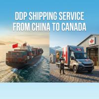 China Door To Door LCL DDP Service From China To Canada 25 - 30 Days DDP Shipping Service for sale