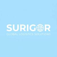 China Customs Clearance FCL Ocean Freight With Exclusive Private Container for sale
