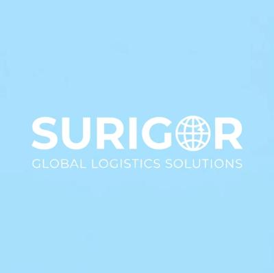 China China To USA FCL Sea Freight Full Container Load Shipping 28 - 32 Days Fixed Door To Door for sale