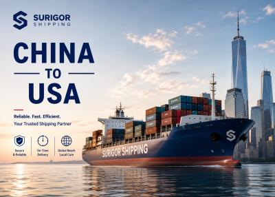 China China to USA DDP Shipping with All-Inclusive Price, Stable Transit Time and Nationwide USA Coverage for sale
