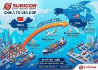 China Cost-Effective Sea DDP Logistics with Fast Lead Time and Full All-inclusive Charges for Door-to-Door Shipping for sale