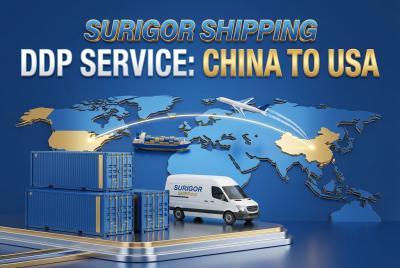 China Cost-Effective Sea DDP Logistics with Fast Lead Time and Full All-inclusive Charges for Door-to-Door Shipping for sale