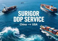China Affordable Low-Price China to USA DDP LCL Shipping | 17–25 Days Fast Ocean Freight Door-to-Door Logistics with Zero Hidden Fee for sale