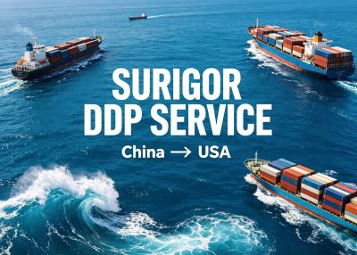 China Affordable Low-Price China to USA DDP LCL Shipping | 17–25 Days Fast Ocean Freight Door-to-Door Logistics with Zero Hidden Fee for sale