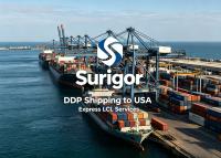 China True DDP All-Inclusive Pricing with Dual-Side Customs Clearance and Nationwide US Delivery Coverage via Express LCL Services for sale