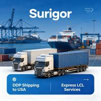 China True DDP All-Inclusive Pricing with Dual-Side Customs Clearance and Nationwide US Delivery Coverage via Express LCL Services for sale