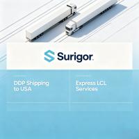China True DDP All-Inclusive Pricing with Dual-Side Customs Clearance and Nationwide US Delivery Coverage via Express LCL Services for sale