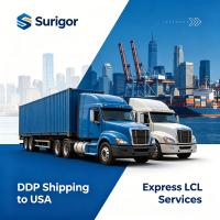 China True DDP All-Inclusive Pricing with Dual-Side Customs Clearance and Nationwide US Delivery Coverage via Express LCL Services for sale