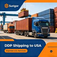China True DDP All-Inclusive Pricing with Dual-Side Customs Clearance and Nationwide US Delivery Coverage via Express LCL Services for sale