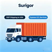 China China to USA DDP Sea Freight and LCL Consolidation with Genuine All-In Quotation and Nationwide Delivery for sale