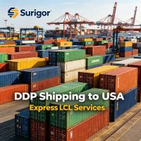 China China to USA DDP Sea Freight and LCL Consolidation with Genuine All-In Quotation and Nationwide Delivery for sale