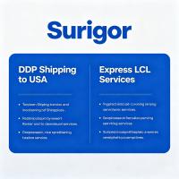 China China to USA DDP Sea Freight and LCL Consolidation with Genuine All-In Quotation and Nationwide Delivery for sale
