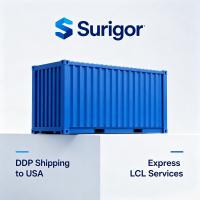 China China to USA DDP Sea Freight and LCL Consolidation with Genuine All-In Quotation and Nationwide Delivery for sale