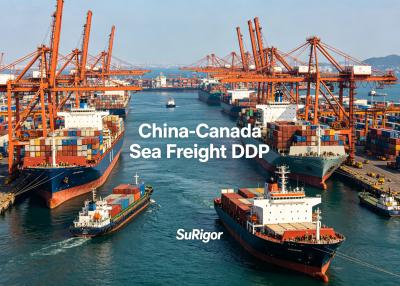 China DDP Shipping to Canada with Full Container Load Logistics Featuring Delivered Duty Paid, Real-time Shipment Tracking, and 18-Day Vancouver Fast-Track for sale